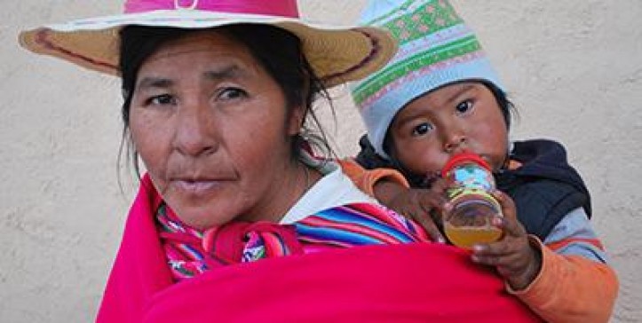 Chile, sus compromisos del Milenio y la población indígena